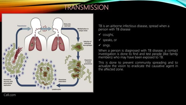 Recent advances in diagnosis and treatment of tuberculosis | PPTX ...