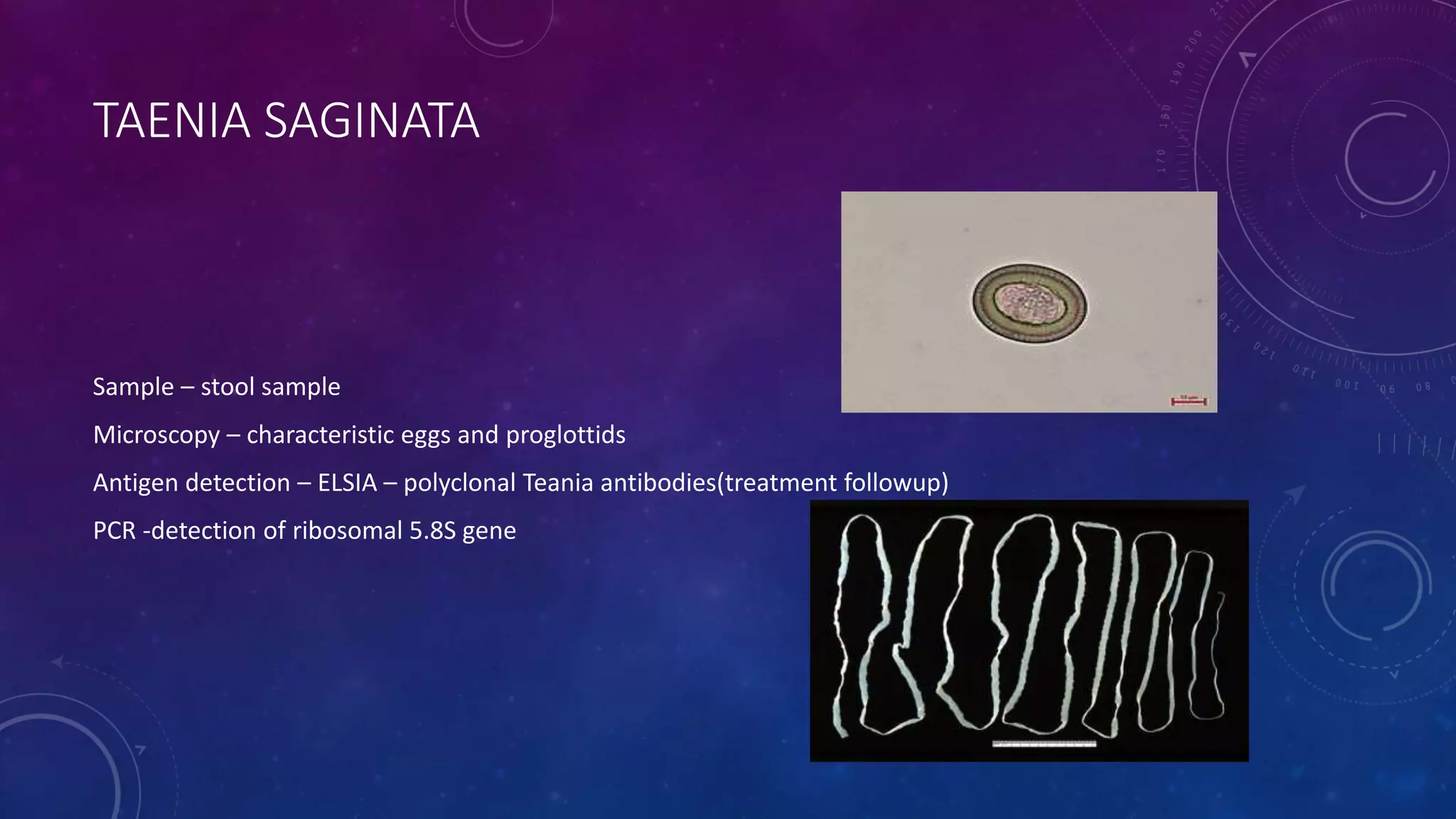 Recent advances in diagnosis of cestodes.pptx