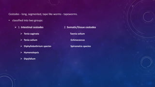 Recent advances in diagnosis of cestodes.pptx