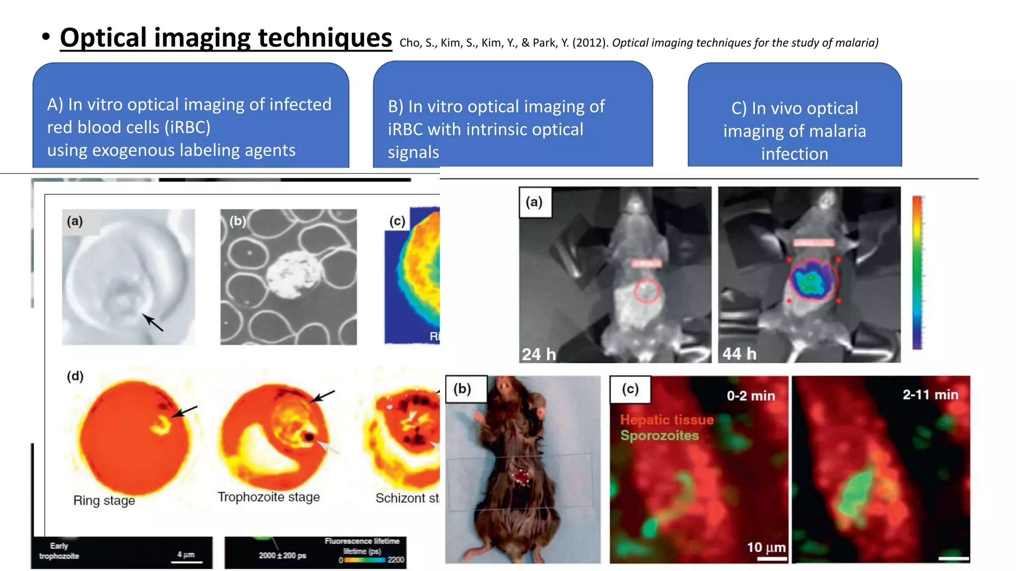 Recent advances in diagnosis of hemoparasite infections | PPTX