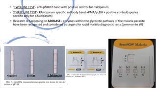 Recent advances in diagnosis of hemoparasite infections | PPTX