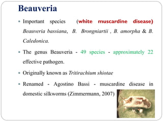 Recent advances in fungal pathogens as biopesticides | PDF