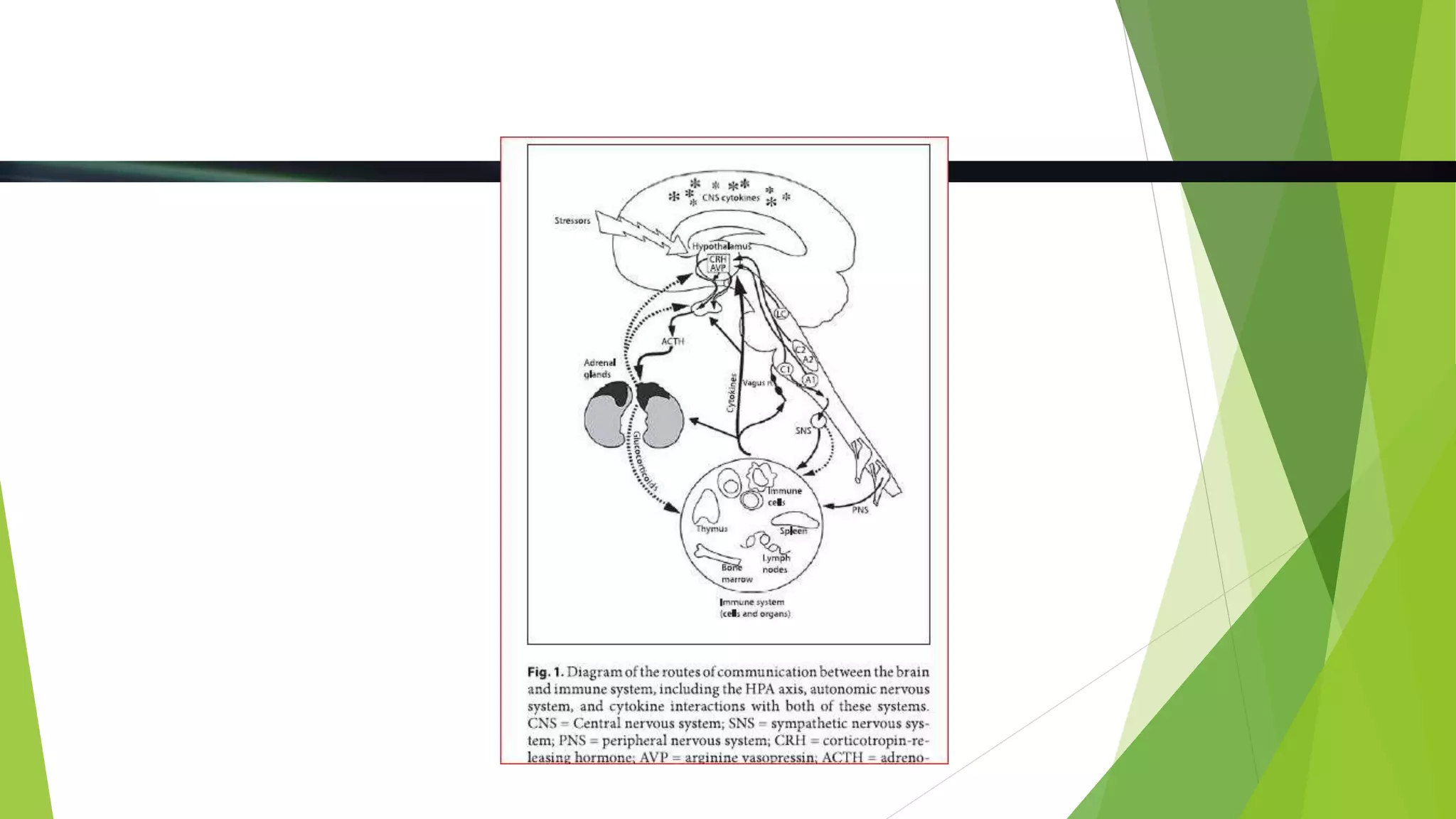 Recent advances in Kriya Sharir (Ayurveda Physiology) | PPTX