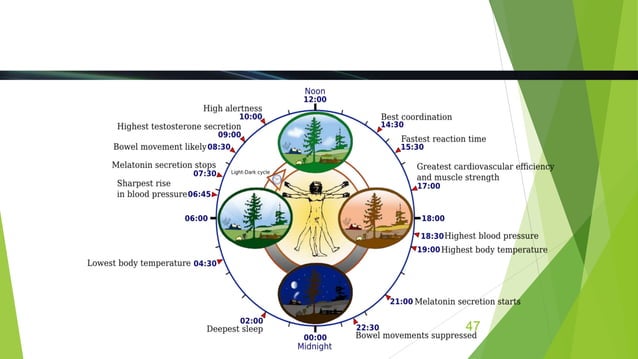 Recent advances in Kriya Sharir (Ayurveda Physiology) | PPTX ...