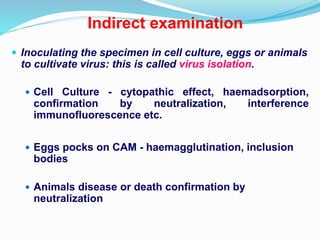 Recent advances in laboratory diagnosis of viruses | PPTX