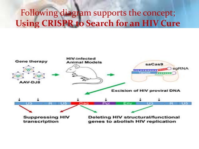 Recent advances in medical biotechnology | PPTX
