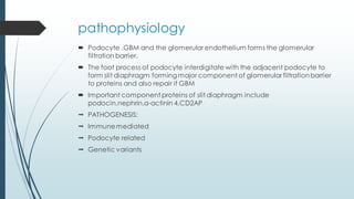 Recent advances in Nephrotic syndrome.pdf