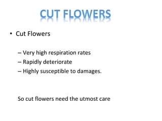 Recent advances in postharvest management of cut flower | PPT