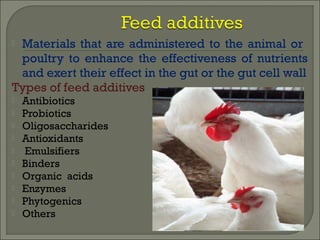R ecent advances in poultry feed additive | PPT