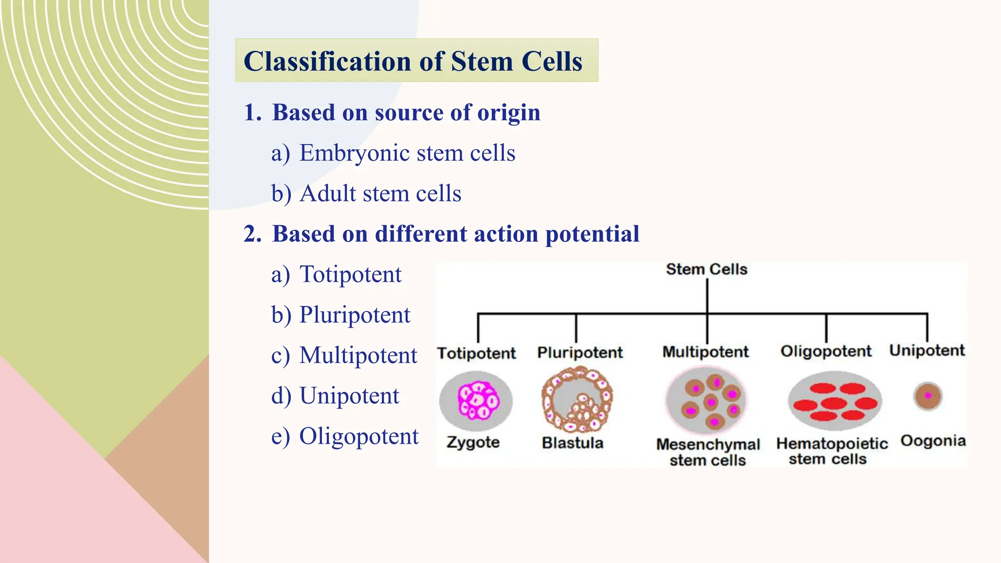 Recent Advances in STEM CELLS and System Biology SR.pptx