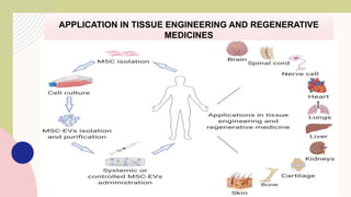 Recent Advances in STEM CELLS and System Biology SR.pptx