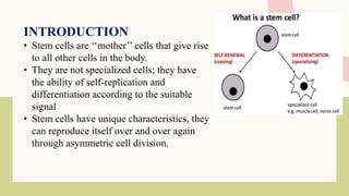 Recent Advances in STEM CELLS and System Biology SR.pptx
