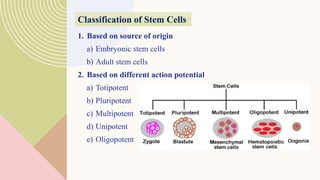 Recent Advances in STEM CELLS and System Biology SR.pptx