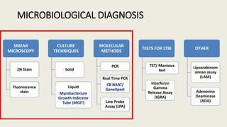 Recent advances in TB diagnosis | PPTX