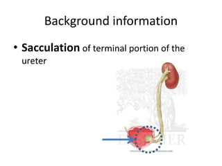 Recent advances in the management of ureteroceles in | PPT