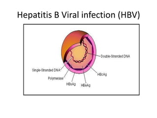Recent advances in the management of viral hepatitis handout | PPT