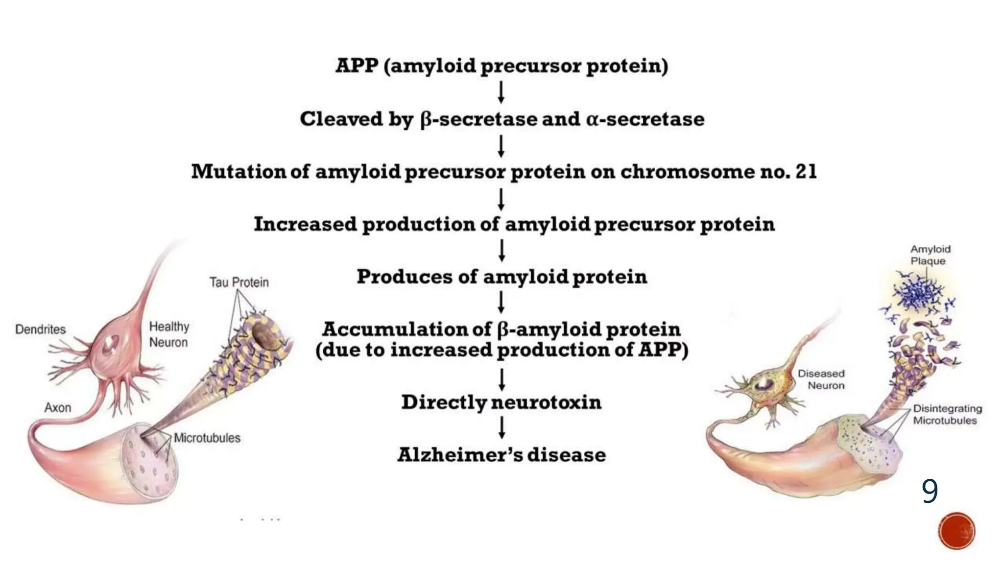 recent advances in the treatment of alzheimers disease.pptx