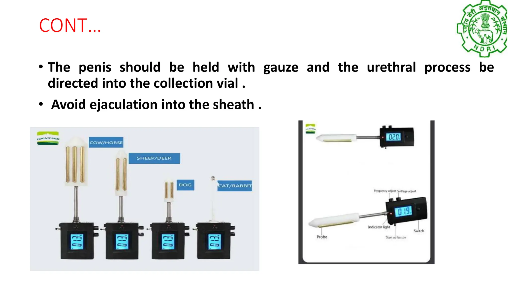RECENT ADVANCES OF ARTIFICIAL INSEMINATION IN SHEEP new.pptx
