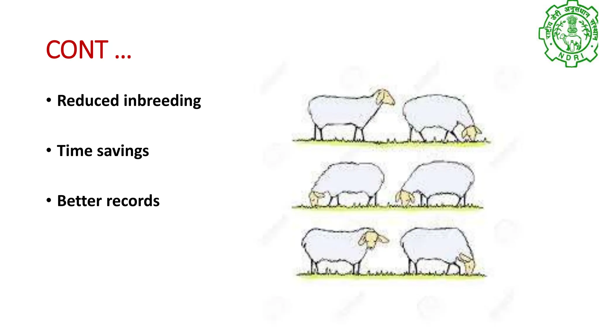 RECENT ADVANCES OF ARTIFICIAL INSEMINATION IN SHEEP new.pptx