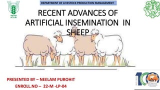 RECENT ADVANCES OF ARTIFICIAL INSEMINATION IN SHEEP new.pptx