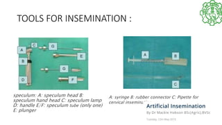 RECENT ADVANCES OF ARTIFICIAL INSEMINATION IN SHEEP new.pptx