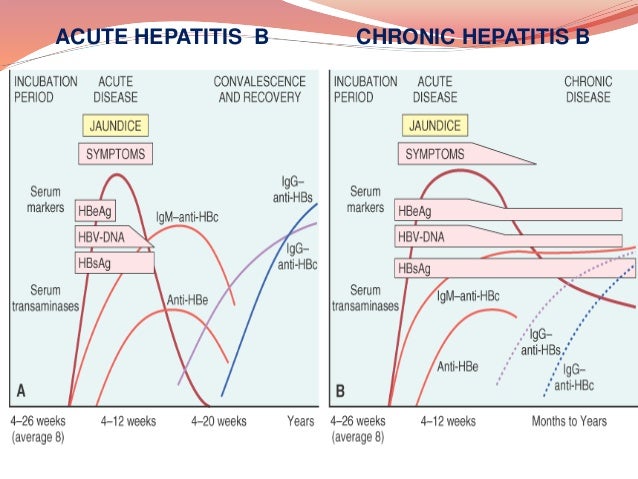 Recent advances in chronic hepatitis