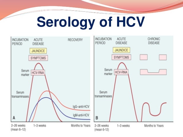 Recent advances in chronic hepatitis