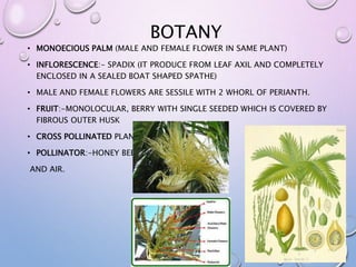 Recent advences in production and processing of arecanut | PPTX