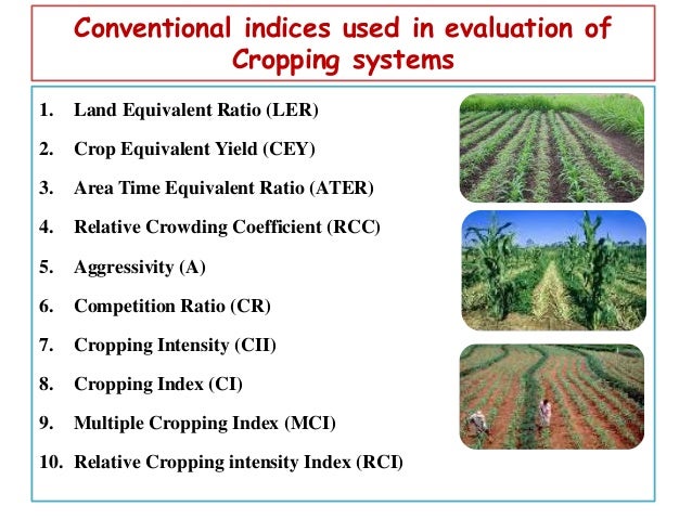 Recent Approaches For Evaluating Cropping Systems