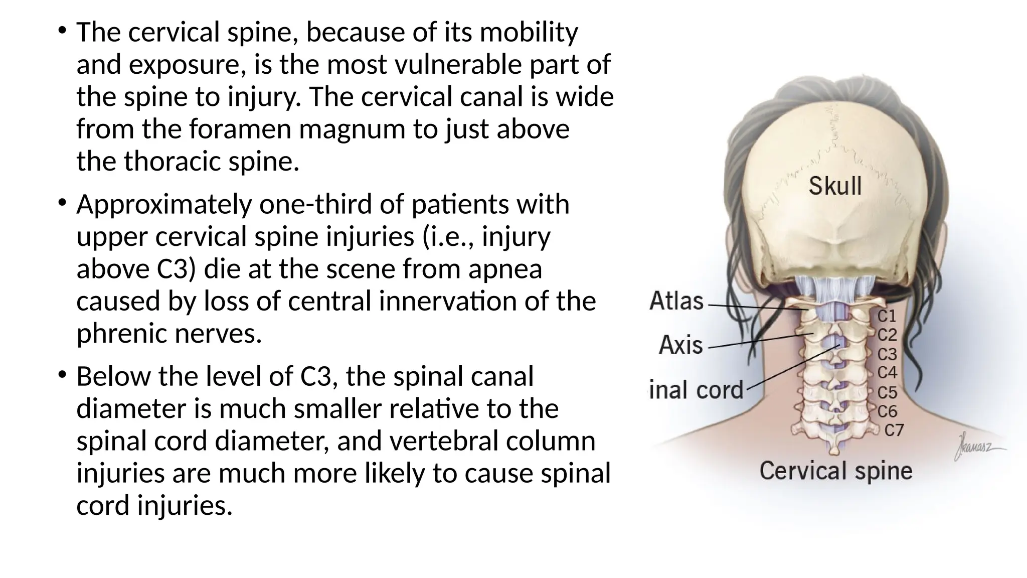 RECENT BOARD GUIDELINES FOR MANAGEMENT OF SPINAL INJURY PATIENT.pptx