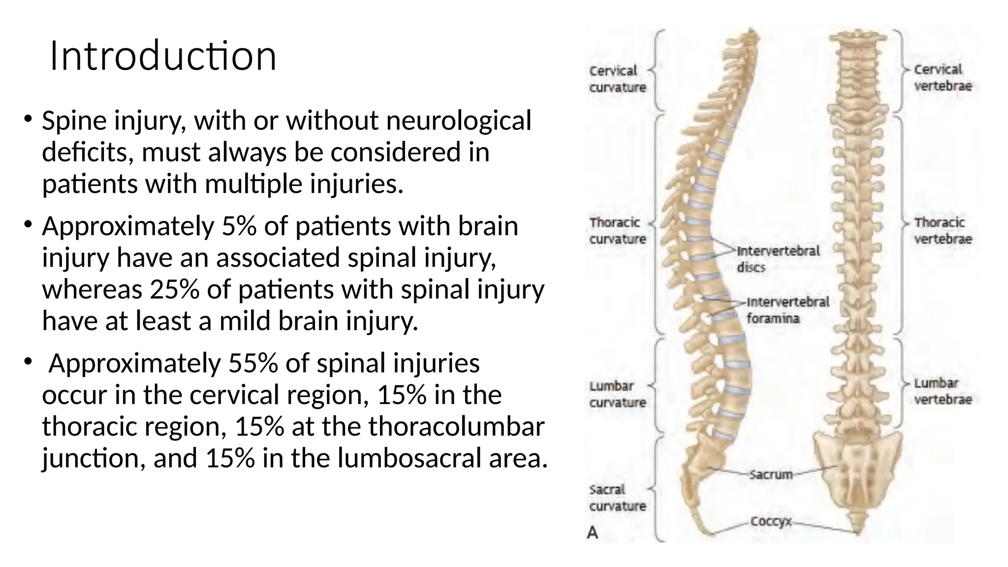 RECENT BOARD GUIDELINES FOR MANAGEMENT OF SPINAL INJURY PATIENT.pptx