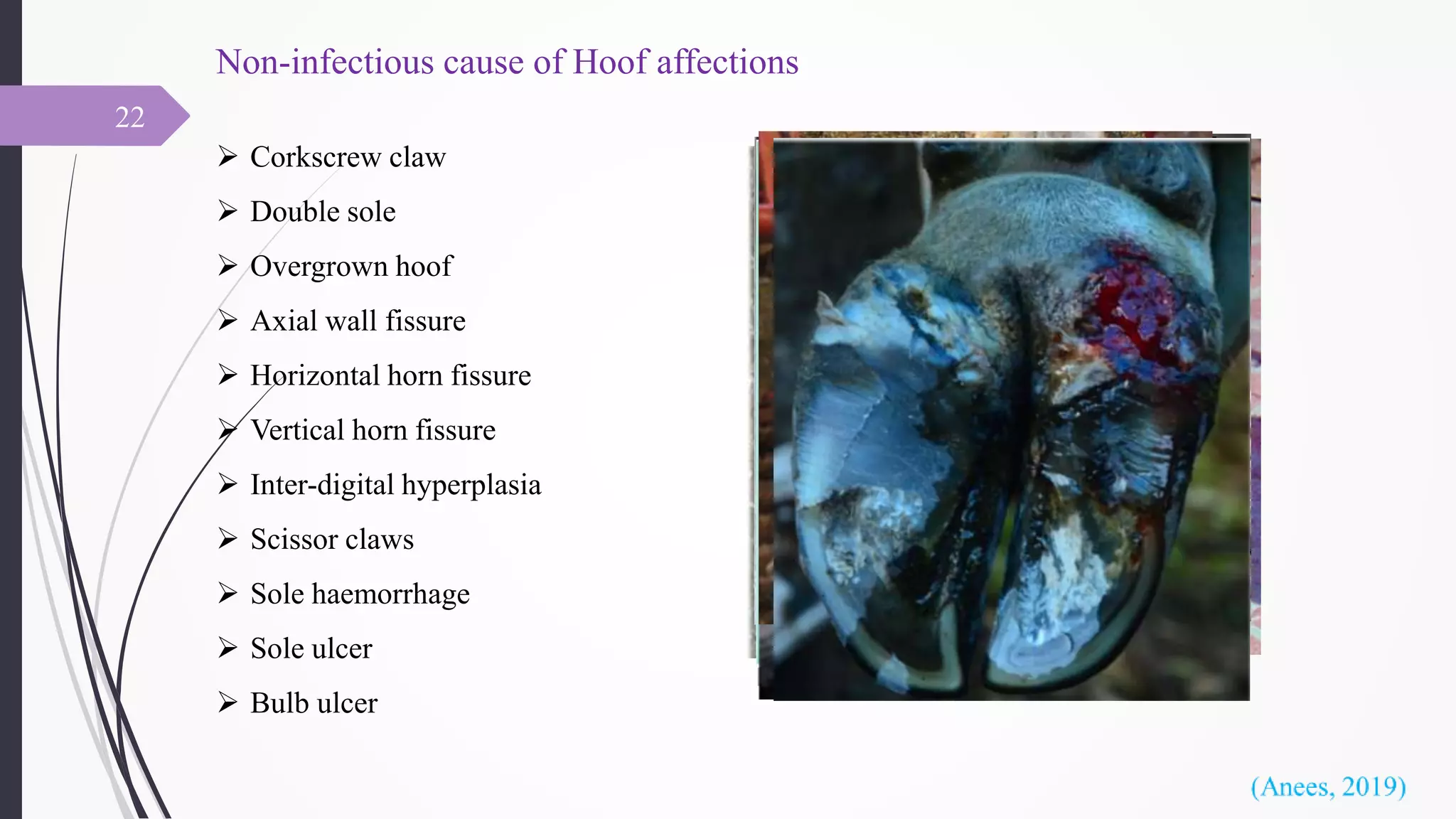 RECENT CONCEPTS IN ETIOPATHOGENESIS OF LAMENESS IN DAIRY CATTLE | PPT