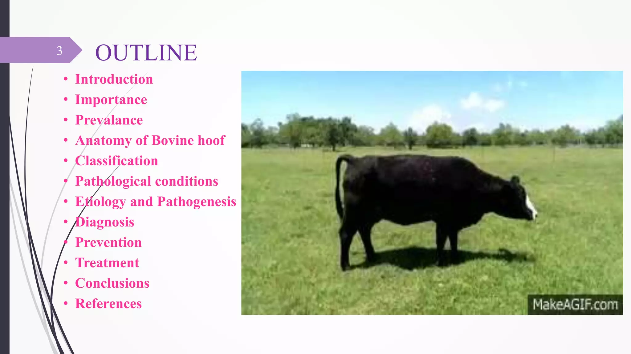 RECENT CONCEPTS IN ETIOPATHOGENESIS OF LAMENESS IN DAIRY CATTLE | PPT