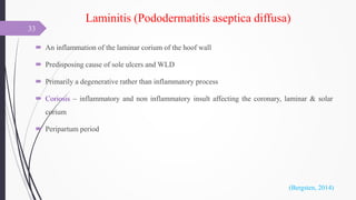 RECENT CONCEPTS IN ETIOPATHOGENESIS OF LAMENESS IN DAIRY CATTLE | PPTX
