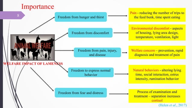 RECENT CONCEPTS IN ETIOPATHOGENESIS OF LAMENESS IN DAIRY CATTLE | PPT