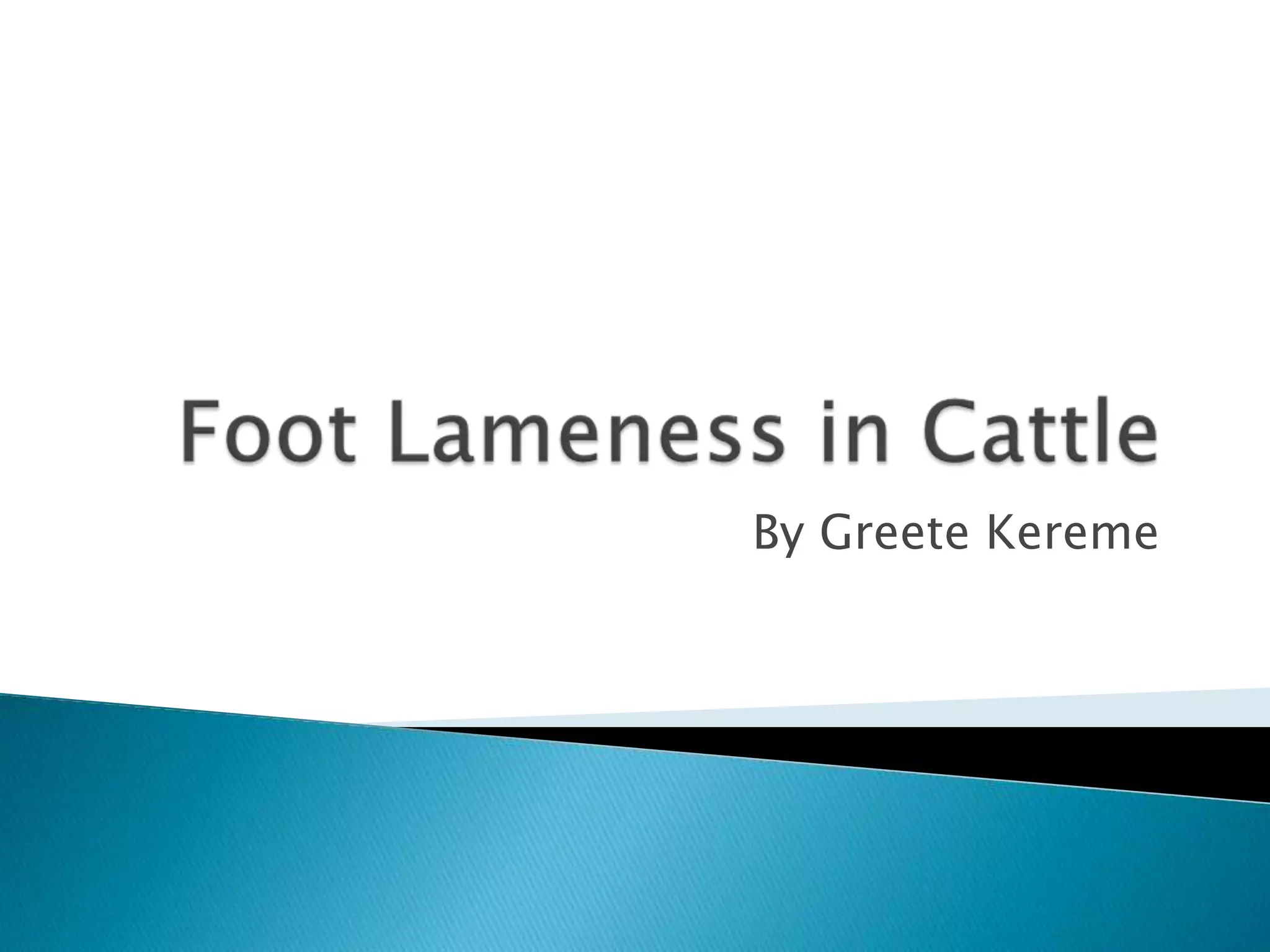 Foot Lameness in Cattle | PPTX
