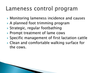 Foot lameness | PPT