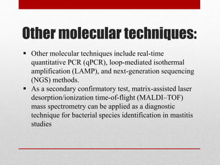 RECENT DEVELOPMENT & CONTROL OF BOVINE MASTITIS-2.pptx