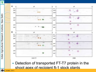 Recent development in florigen concept | PPTX