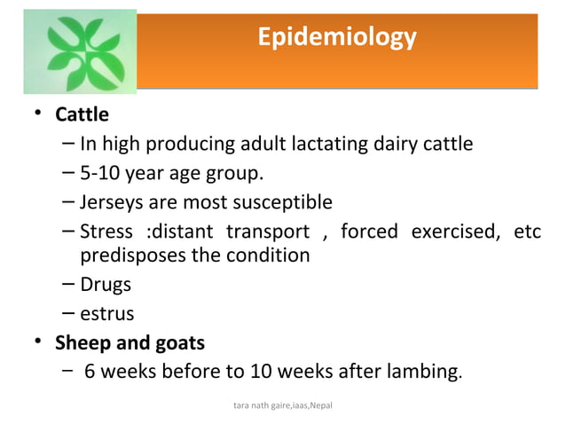Recent diagnosis and treatment of milk fever in | PPT