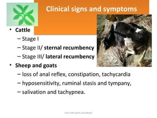 Recent diagnosis and treatment of milk fever in | PPT