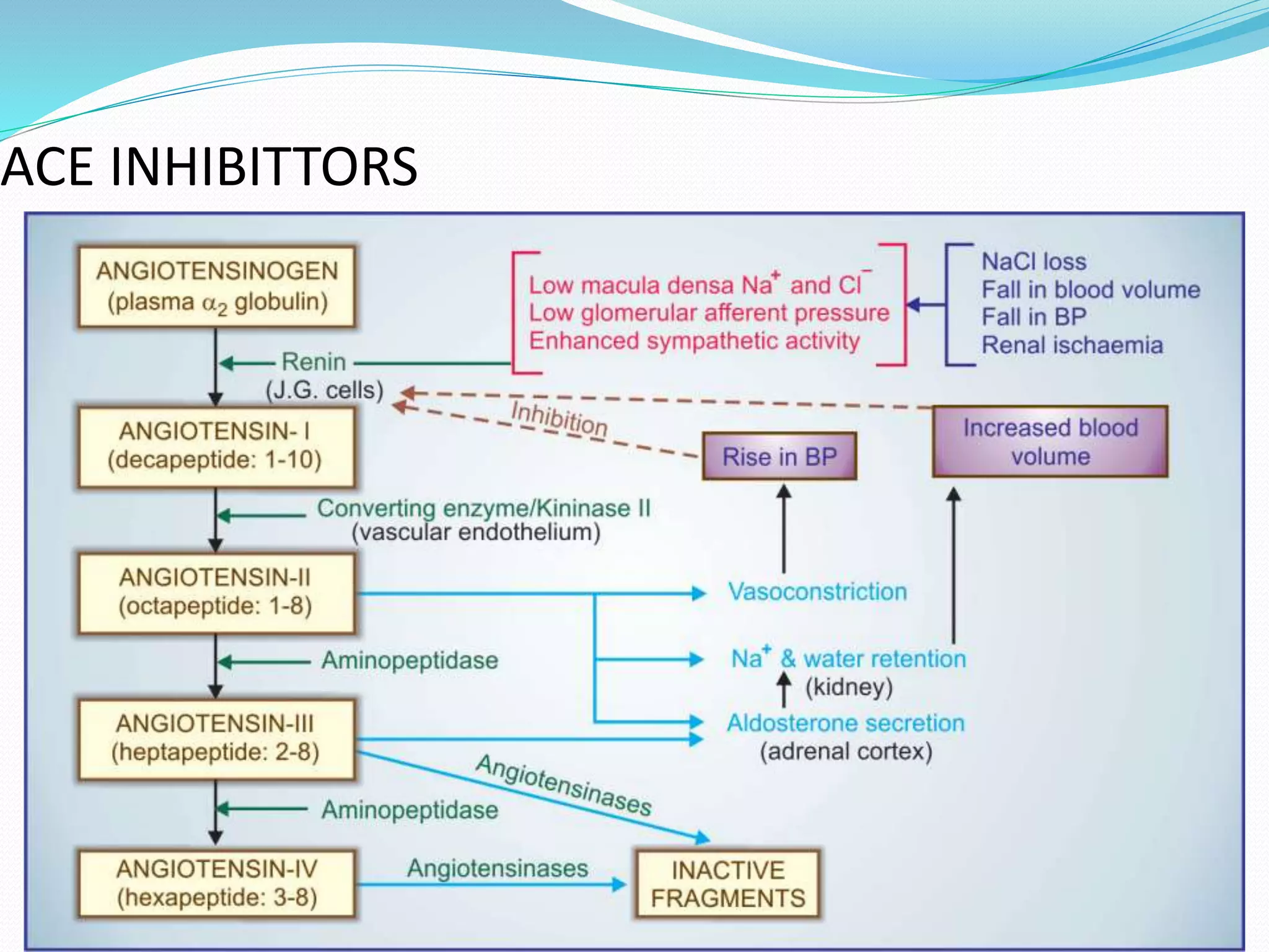 Recent guideline for the Prevention, Detection, Evaluation, and ...