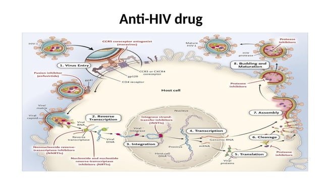 recent HIV/AIDS drugs and pharmacology by Dr Shraddha.pptx