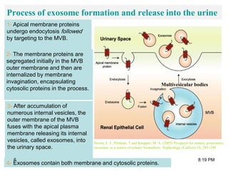 Recent proteomic approaches in AKI.pdf