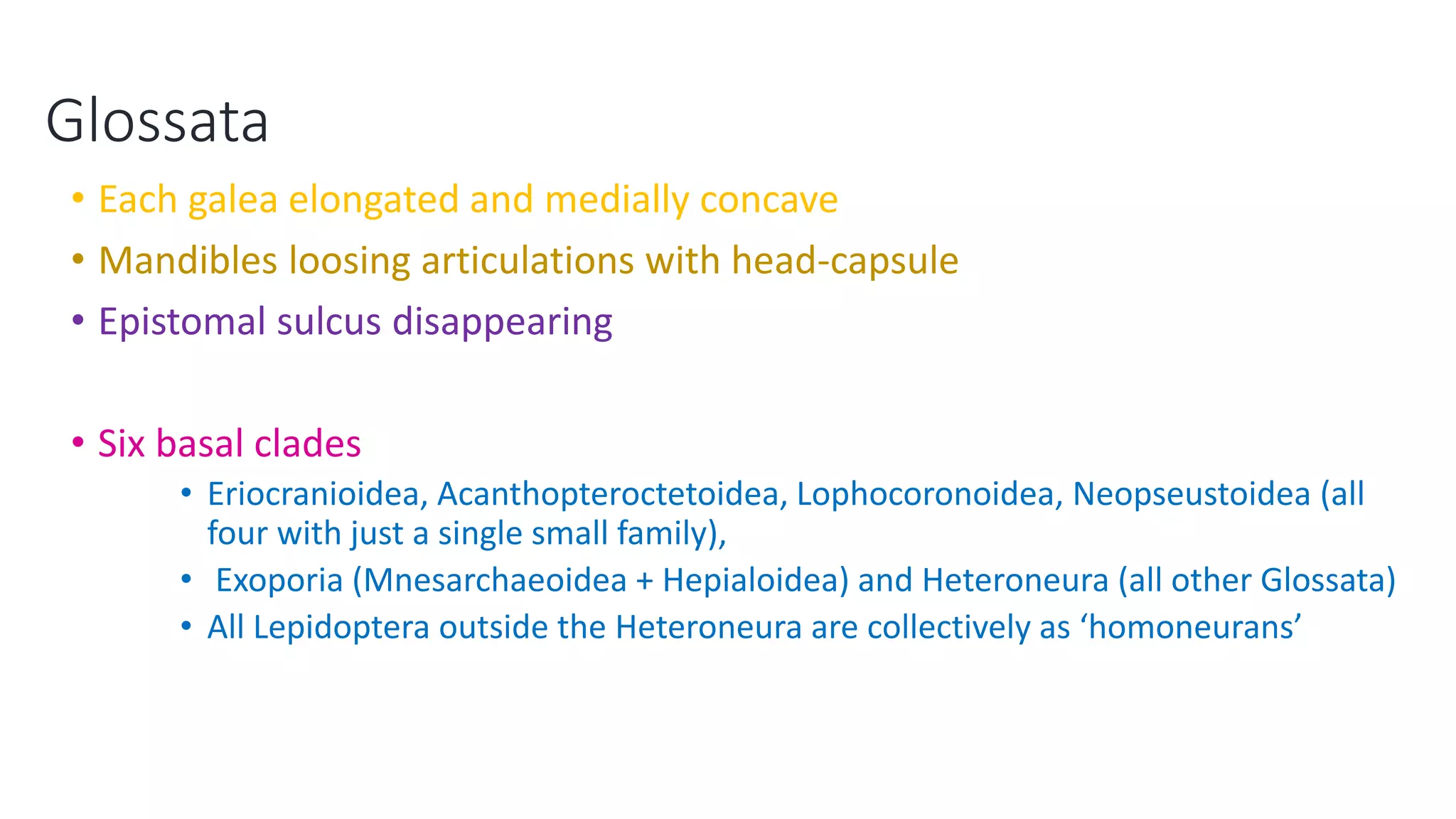 Recent taxonomic classification of lepidoptera | PPTX