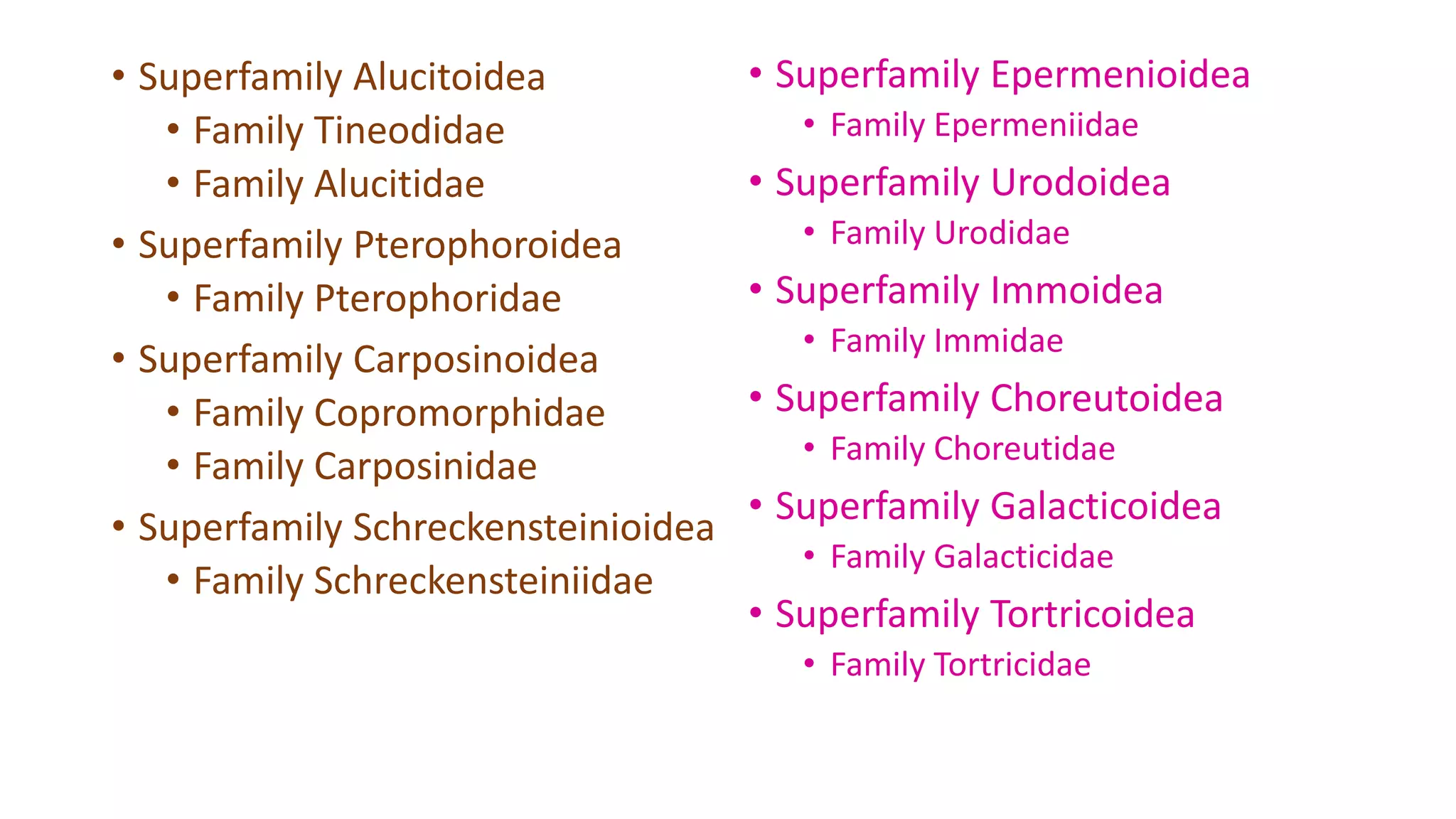 Recent taxonomic classification of lepidoptera | PPTX