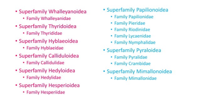 Recent taxonomic classification of lepidoptera | PPT