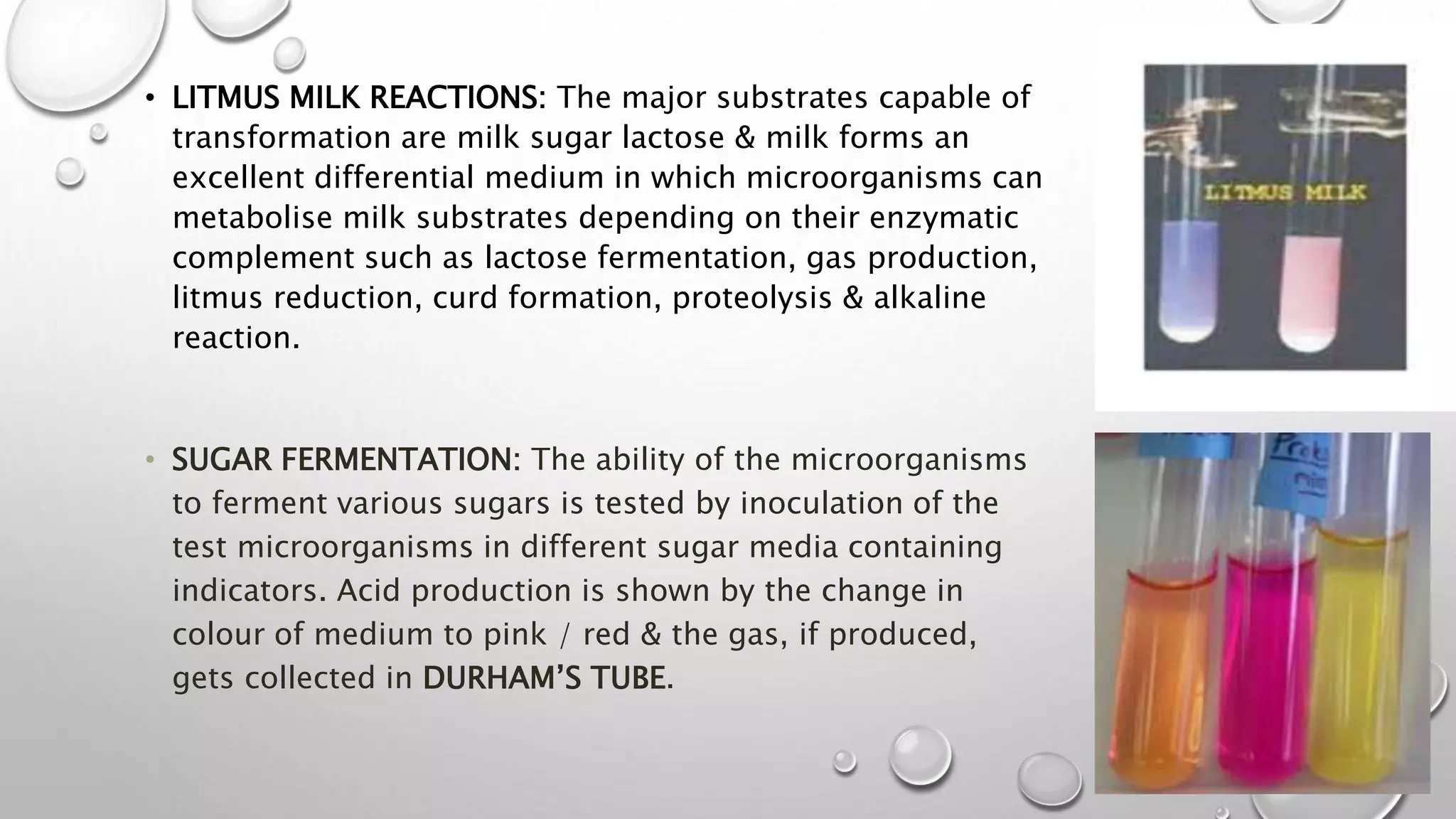 recent microbial techniques & advancement in identifying, cultivating ...