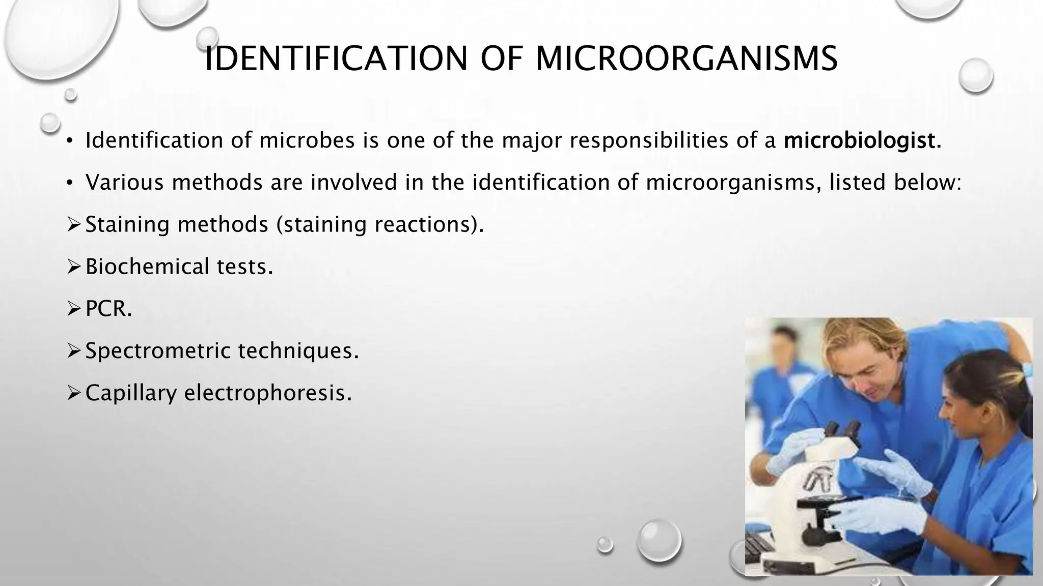 recent microbial techniques & advancement in identifying, cultivating ...