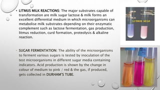 recent microbial techniques & advancement in identifying, cultivating ...